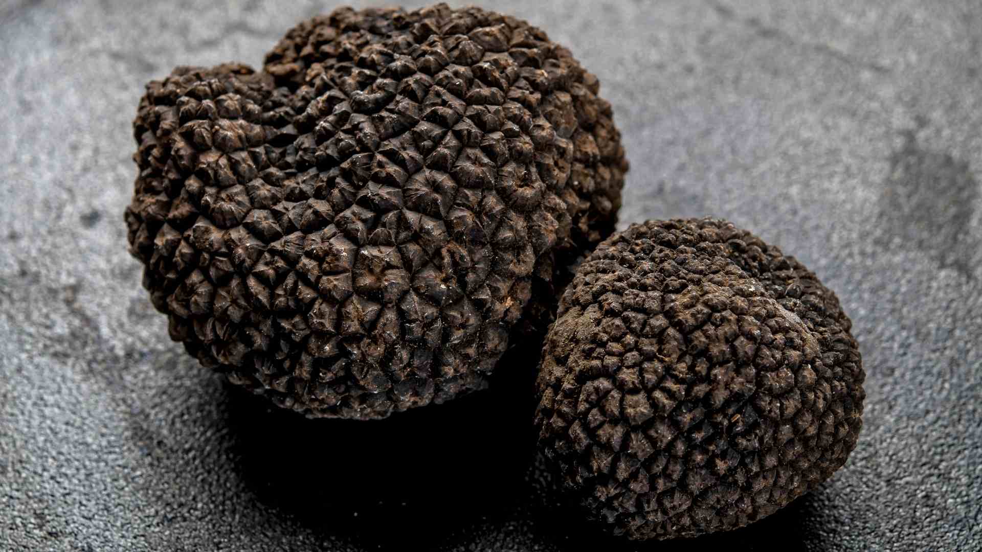 Common mistakes when cooking with black truffles and how to avoid them ...