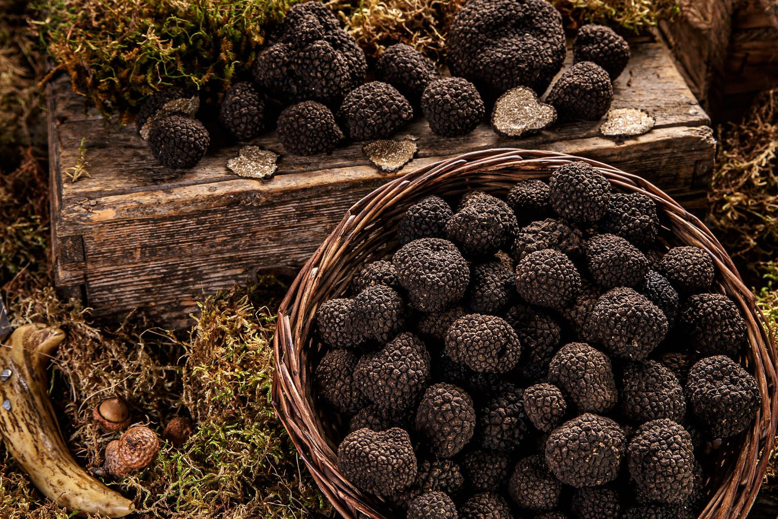 The best time to buy black truffles – Sentidos Truferos
