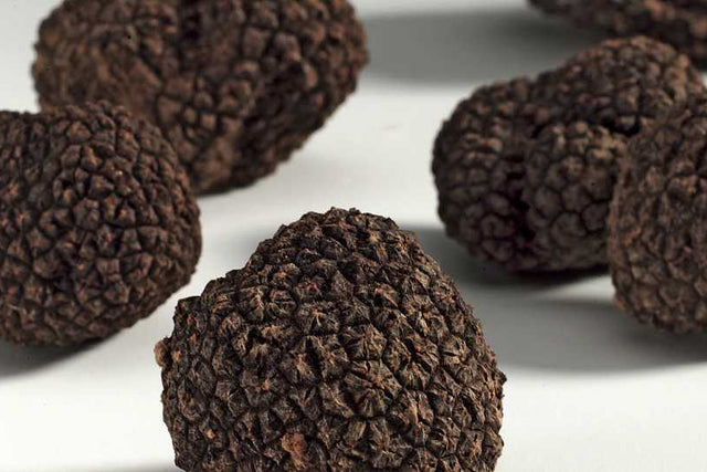 At the foot of the 2025-2026 black truffle season: a guide to experien ...